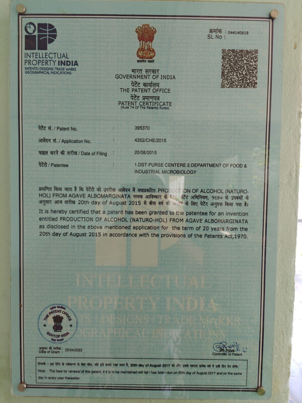 Patents – College Of Food Science and Technolgy